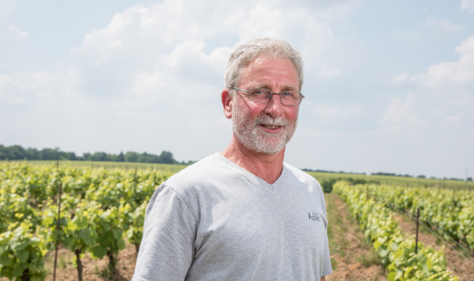 Vignoble Ollivier Frères - Cru Clisson